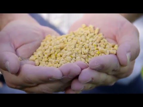 Pine Manor Farms - Non-GMO Project Verified