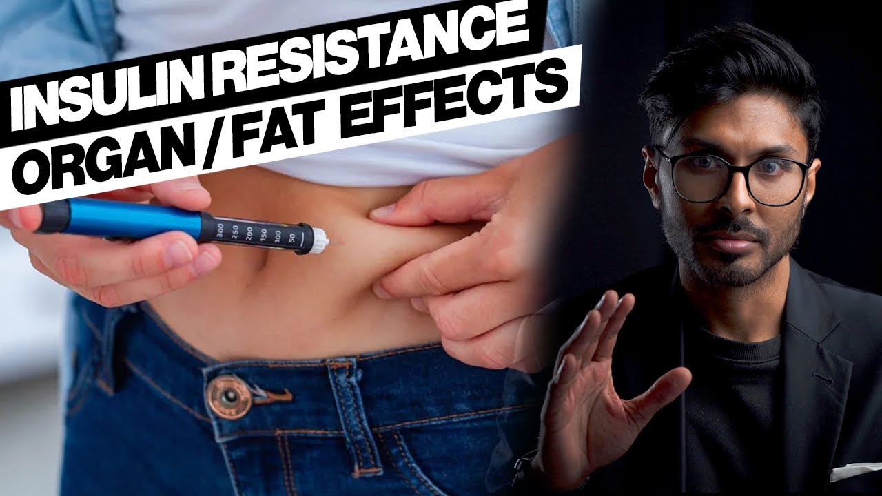 Understanding Hypertriglyceridemia: The Role of Insulin Resistance and ...