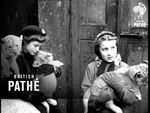 News In Flashes (1951)