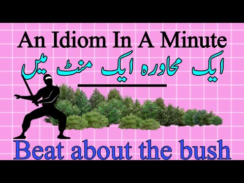 An Idiom in A minute | An Idiom A Day | Beat around the bush idiom in Urdu / Hindi || Idioms for CSS