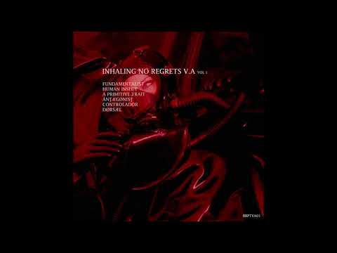 ÅNTÆGØNIST, Yinn - Facets (Original Mix)