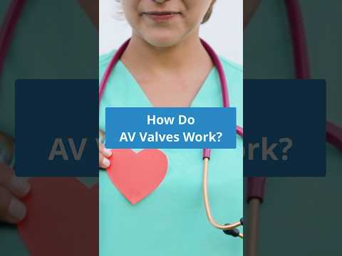 Atrioventricular Valves: What Every Nurse Should Know 🏥🫀
