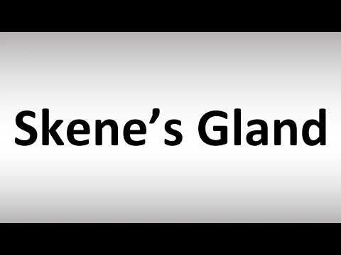 How to Pronounce Skene’s Gland