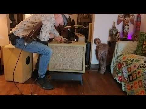 Lectrolab R600C 1967 - Tweed | Reverb