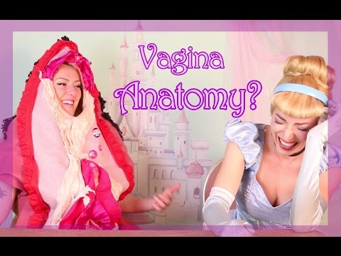 Vagina Anatomy