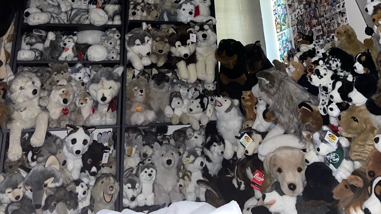 Dog and Wolf Plush Collection 2025