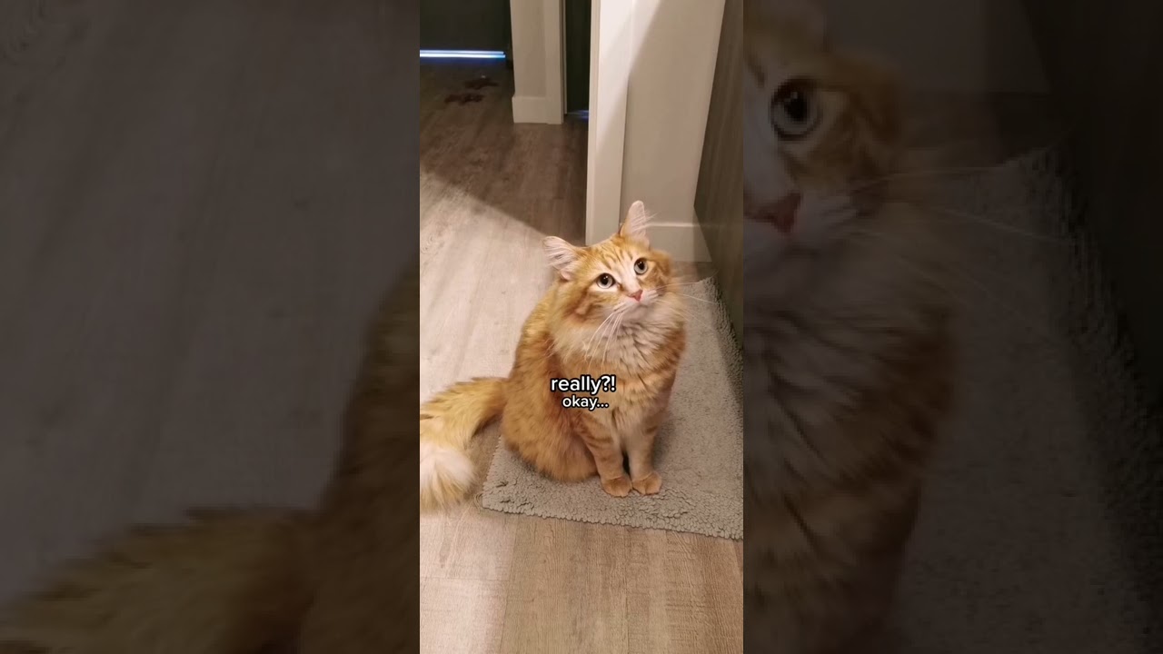 He Won't Answer Unless You Say His Name