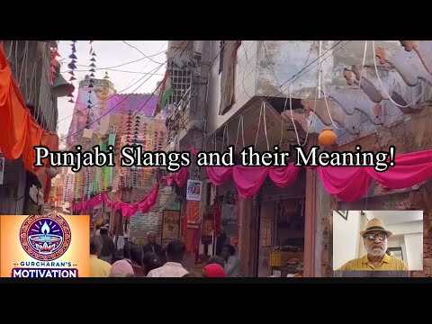 Punjabi Slangs and their Meaning! #LifeSublime