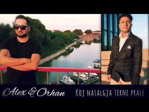 Alex - 2016 Koj nasalgja prale terne █▬█ █ ▀█▀
