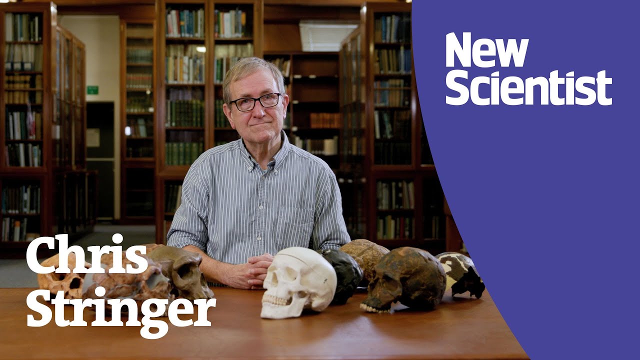 Our common Neanderthal ancestor could be a million years old, says Chris Stringer