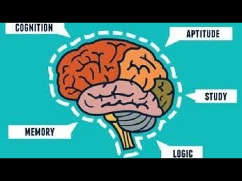Cognitive Functions- Thinking , Reasoning and Problem Solving