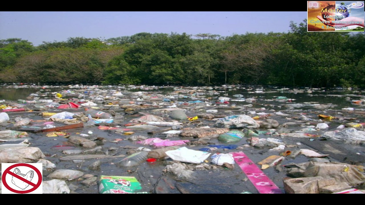 Eco gestes 2 Stop aux sacs en plastiques