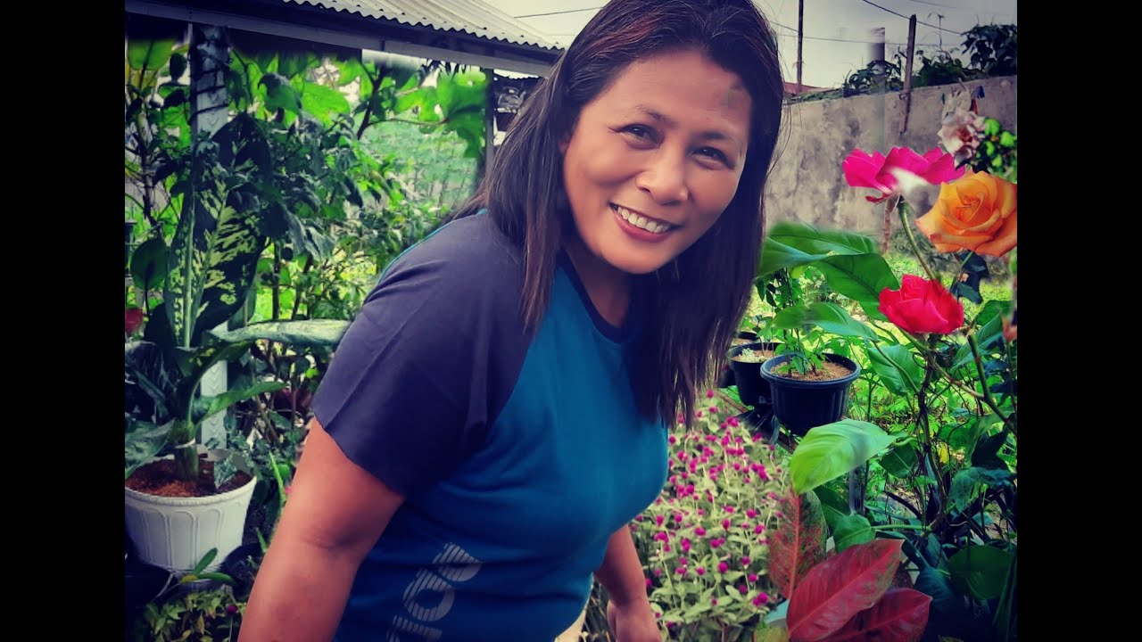 Unboxing bibit bunga mawar