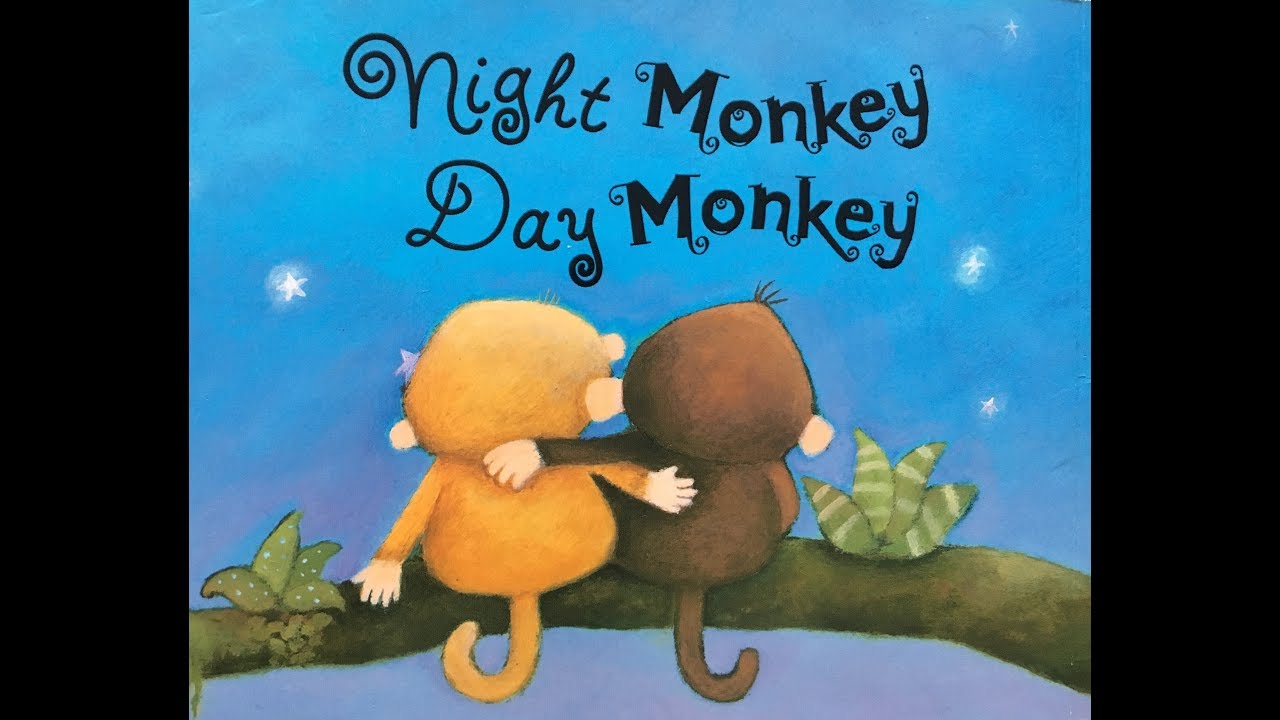 Night Monkey, Day Monkey - Give Us A Story!