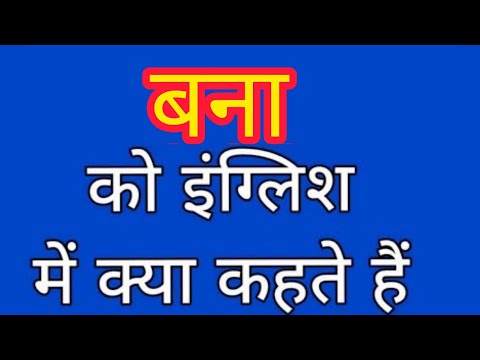 Bana ko english mein kya kahate hain | बना को इंग्लिश में क्या कहते हैं | Make meaning in hindi