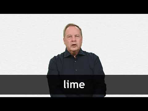 How to pronounce LIME in American English