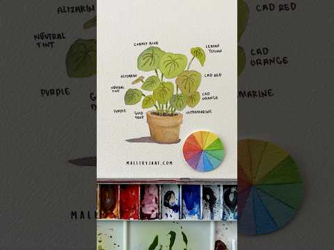 Choosing colors for underpainting in watercolor #watercolorpainting #watercolortutorial #watercolor