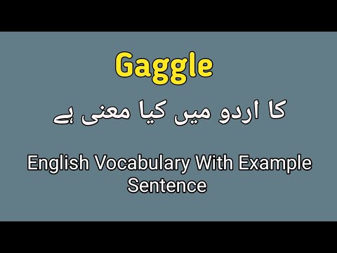 Gaggle meaning in Urdu| gaggle meaning in Urdu/Hindi| gaggle meaning with example sentence