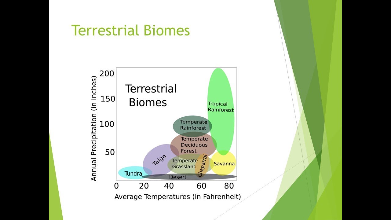 04B   Terrestrial Biomes