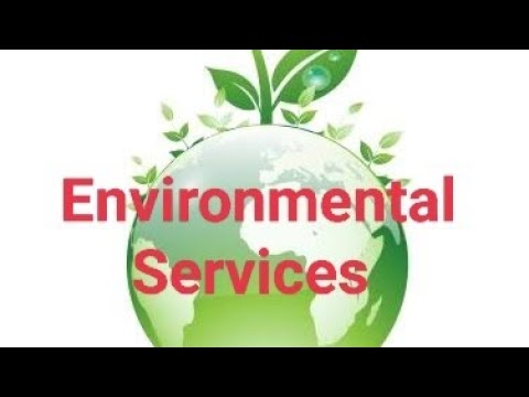 What are Environmental Services