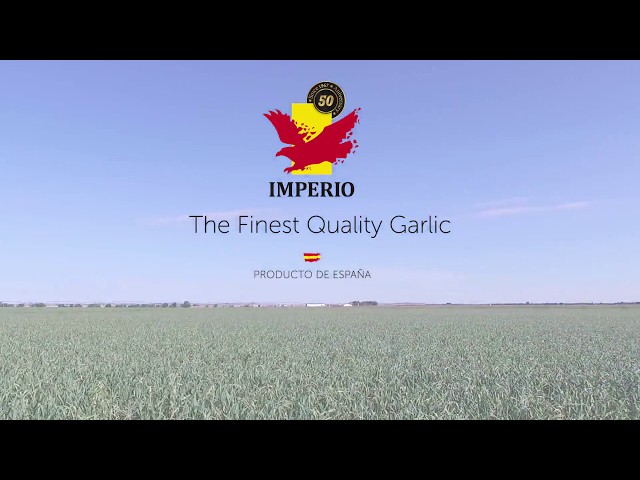 Imperio Garlic | Your trusted distributor of purple peeled garlic from ...