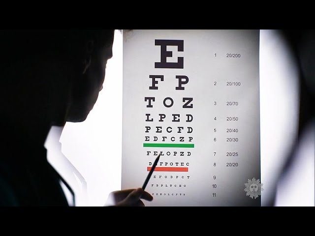 Vision Chart - 3 Meter LED Vision Chart Trader - Wholesaler ...