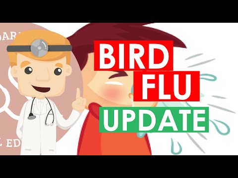 Update On Bird Flu - Overview On All Things Avian Influenza | Public Health