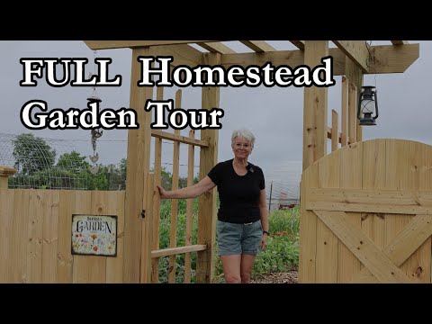 Real Homestead Garden Tour | Wins, Fails, and What We’ll Do Differently
