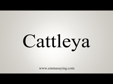 How To Say Cattleya