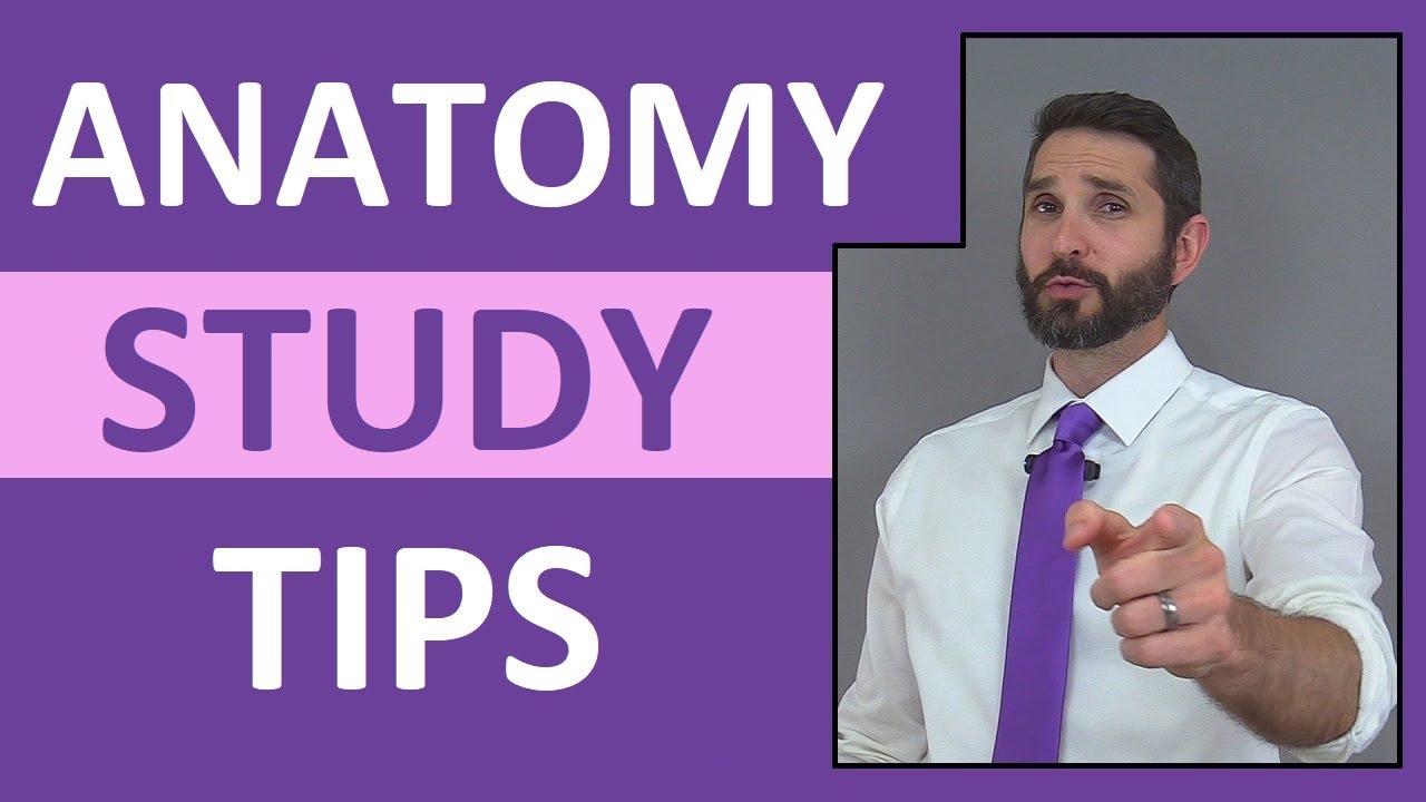 Anatomy Study Tips: How to Pass Anatomy and Physiology Class