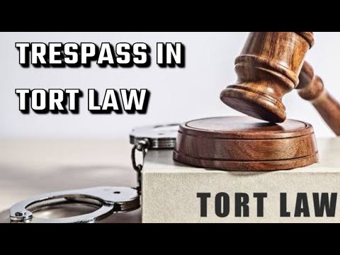 Trespass in Tort law | LLB | Torts | law of torts | Law | tort law | law school