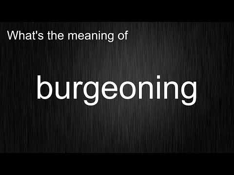 What's the meaning of "burgeoning", How to pronounce burgeoning?