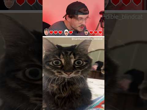 Try not to Laugh 😂😹 | 529 #funny