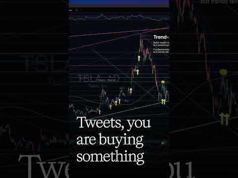 Investing in Stocks More Than Just Company Shares
