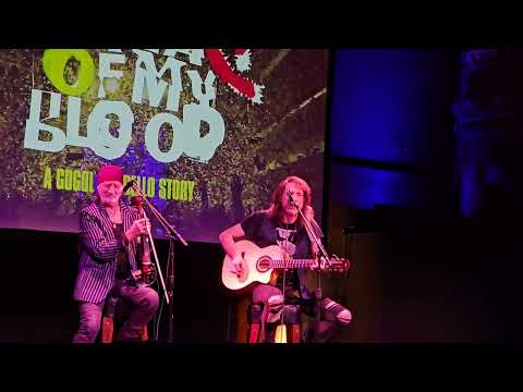 Illumination– Gogol Bordello