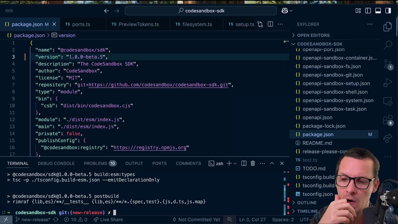 CodeSandbox - SDK - Preview injection and prep snapshot tags
