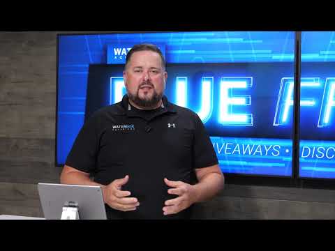 WIBF - What is Blue Friday?