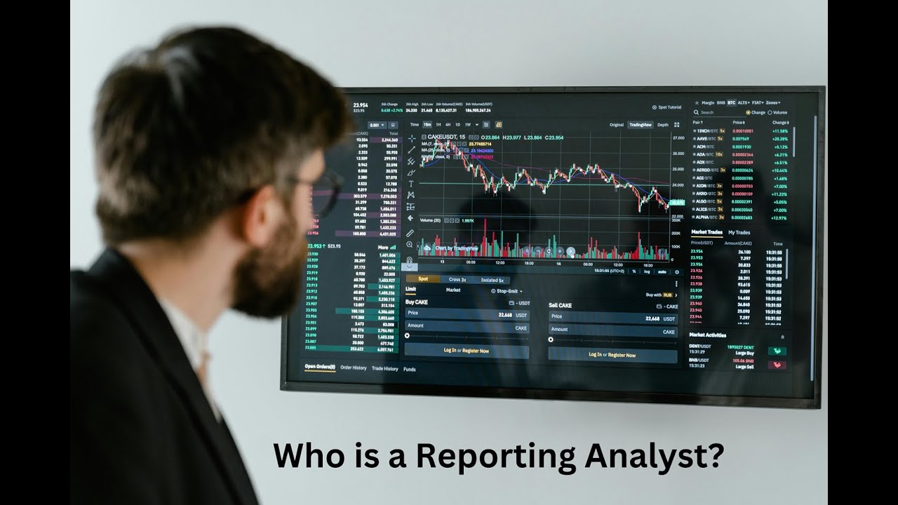 Who is a Reporting Analyst?