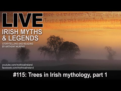 Live Irish Myths episode #115: Trees in Irish myth and folklore, part 1: The Yew Tree