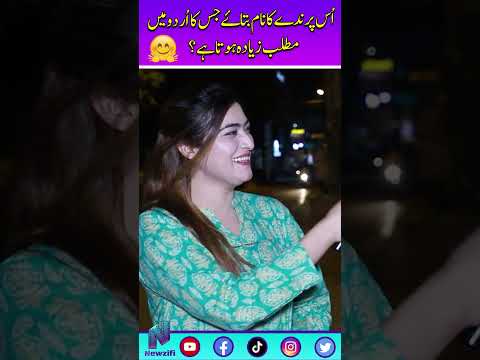 Us Parindy ka Naam Btay jis ka Urdu Mai Matlab Zeada Hota hai #trending #funny #commonsense #comedy