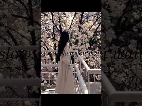 definition of time #aesthetic #soul in the Seoul