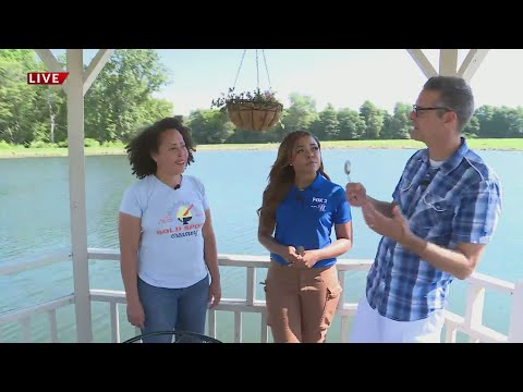 Eat some ice cream by a cool lake in Park Hills, Missouri