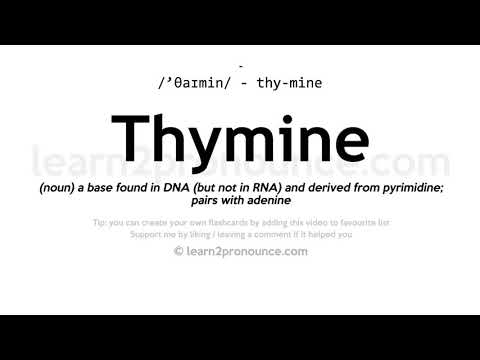 Thymine pronunciation and definition
