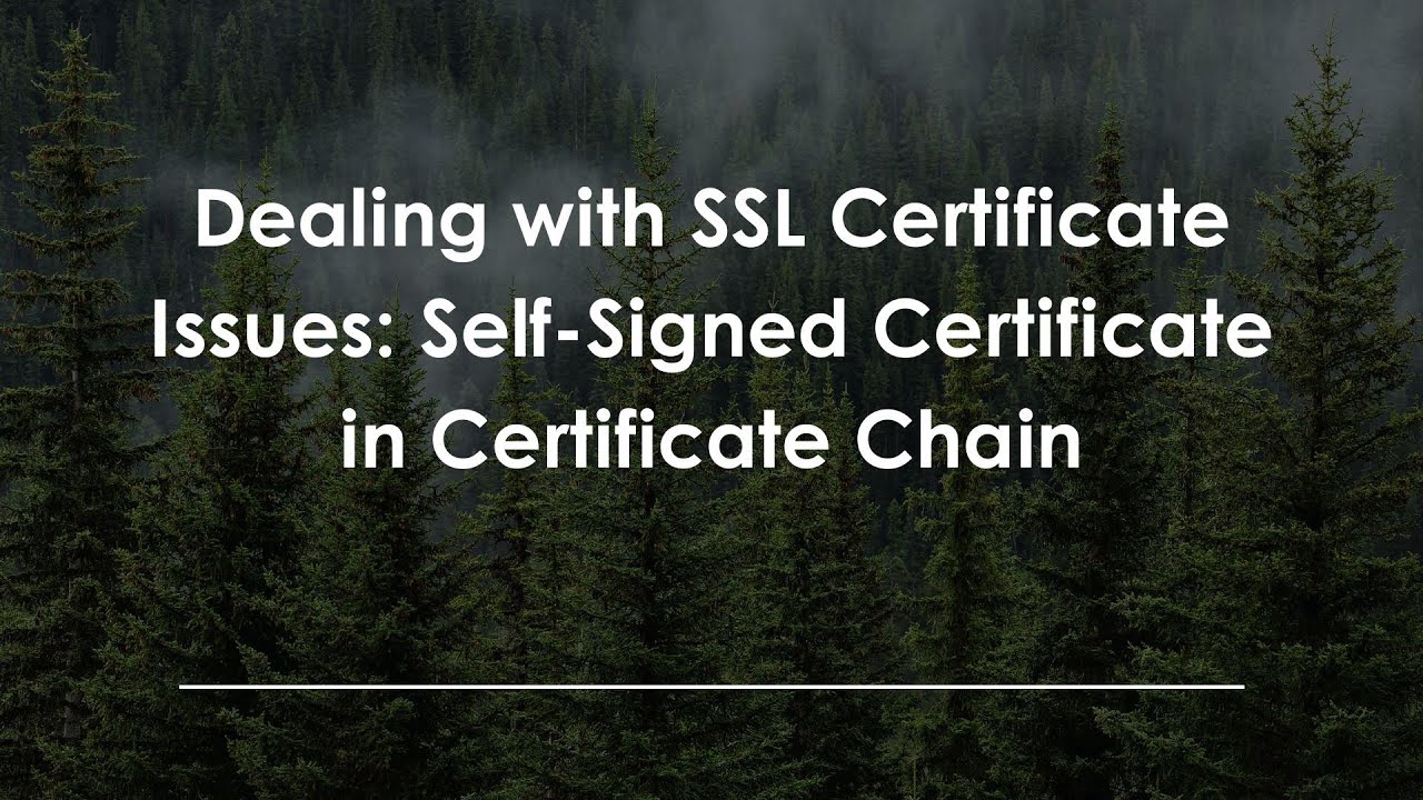 Dealing with SSL Certificate Issues: Self-Signed Certificate in Certificate Chain