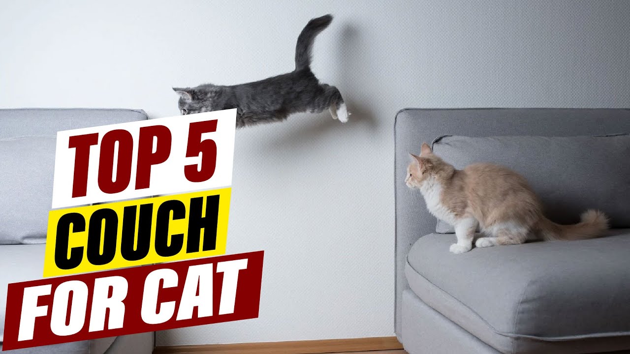 Top 5 Best Couches for Cat Owners in 2026 – Scratch-Resistant & Stylish