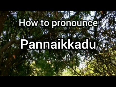 How to Pronounce Pannaikkadu