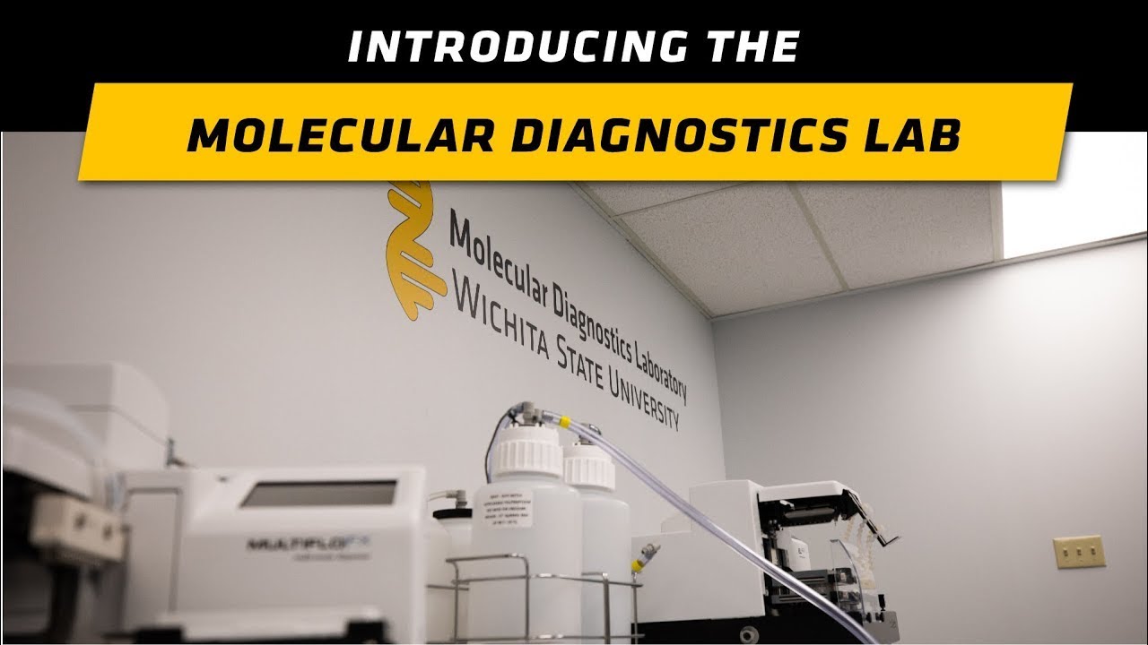 Introduction to the Molecular Diagnostics Lab