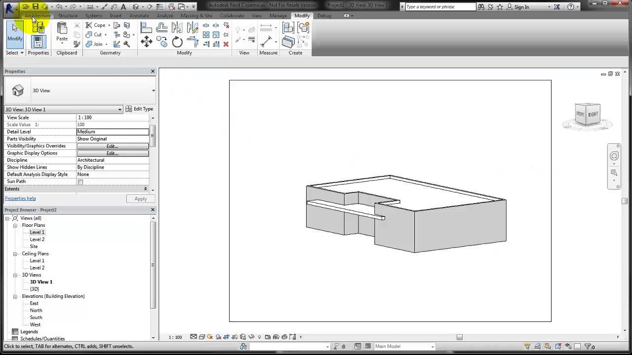 Working in a Perspective View