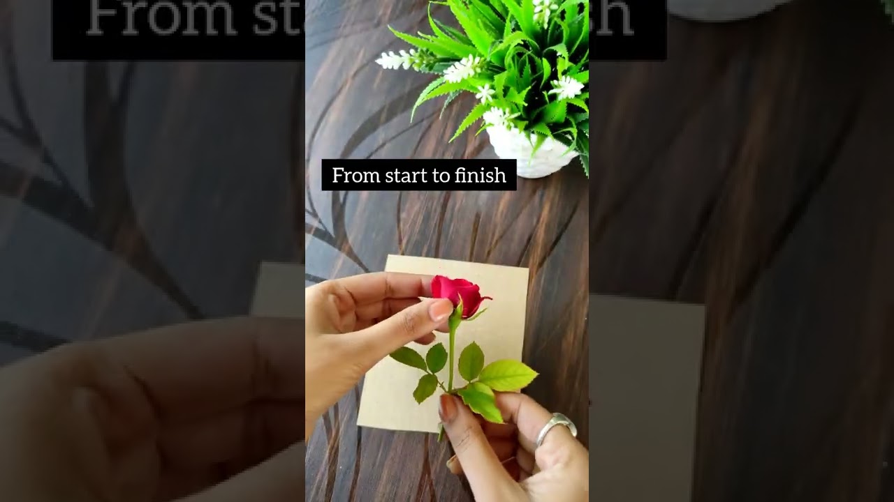 let's see the magic 🌹🤷