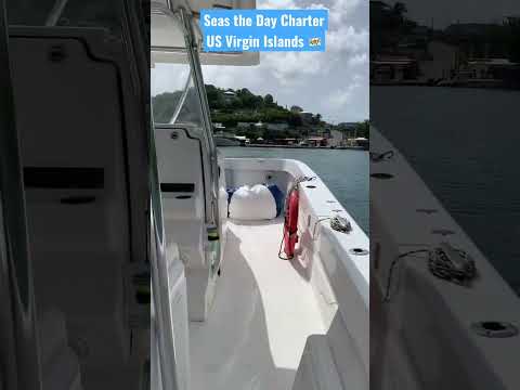 All day charter around Virgin Islands 🇻🇮 Catamaran with Captain👨✈️Seas the Day Charter Company🌎